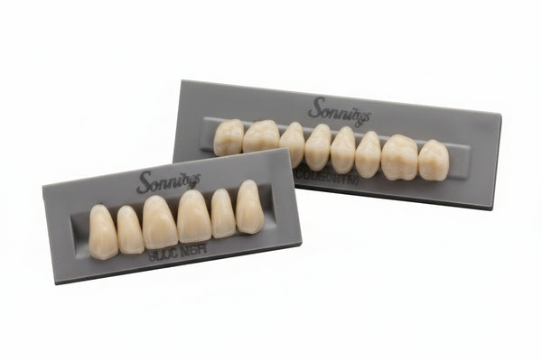 HUGE Bluebell Acrylic Denture Teeth B1 Shade - 28 Piece – Dentalmantraa