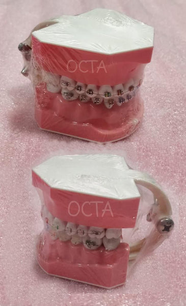 OCTA HALF METAL HALF CERAMIC BRACKET ORTHO MODEL – Dentalmantraa